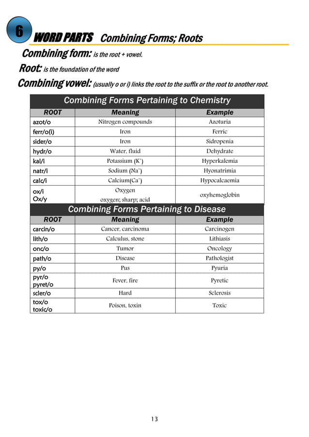 Medical Terminology Part 1; Prefixes, Suffixes, Combining Forms | PDF