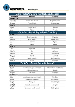 Medical Terminology Part 1; Prefixes, Suffixes, Combining Forms | PDF