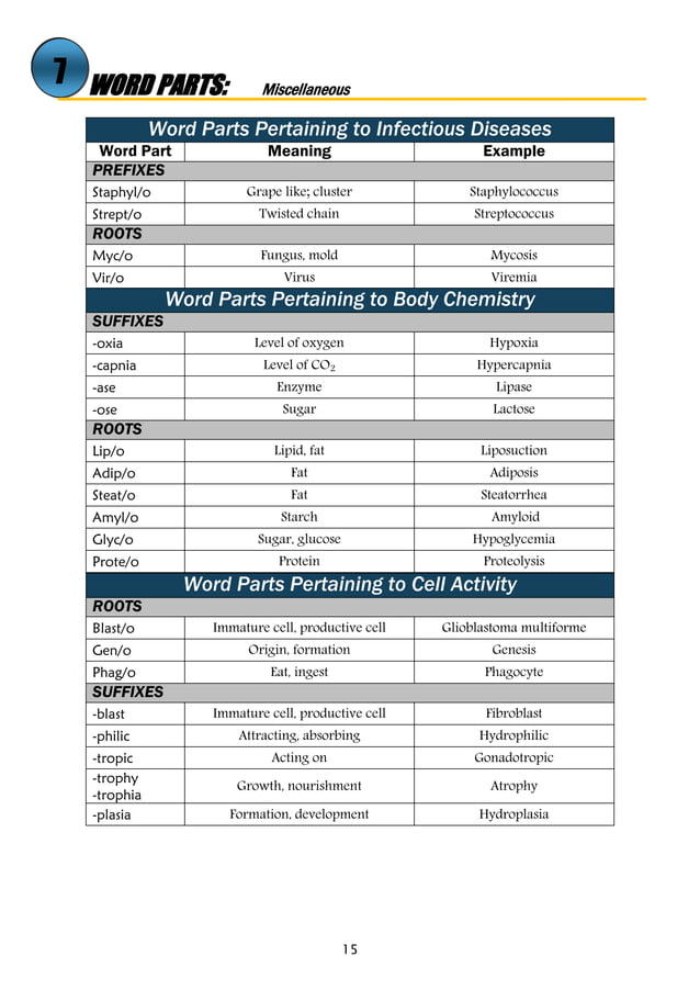 Medical Terminology Part 1; Prefixes, Suffixes, Combining Forms | PDF
