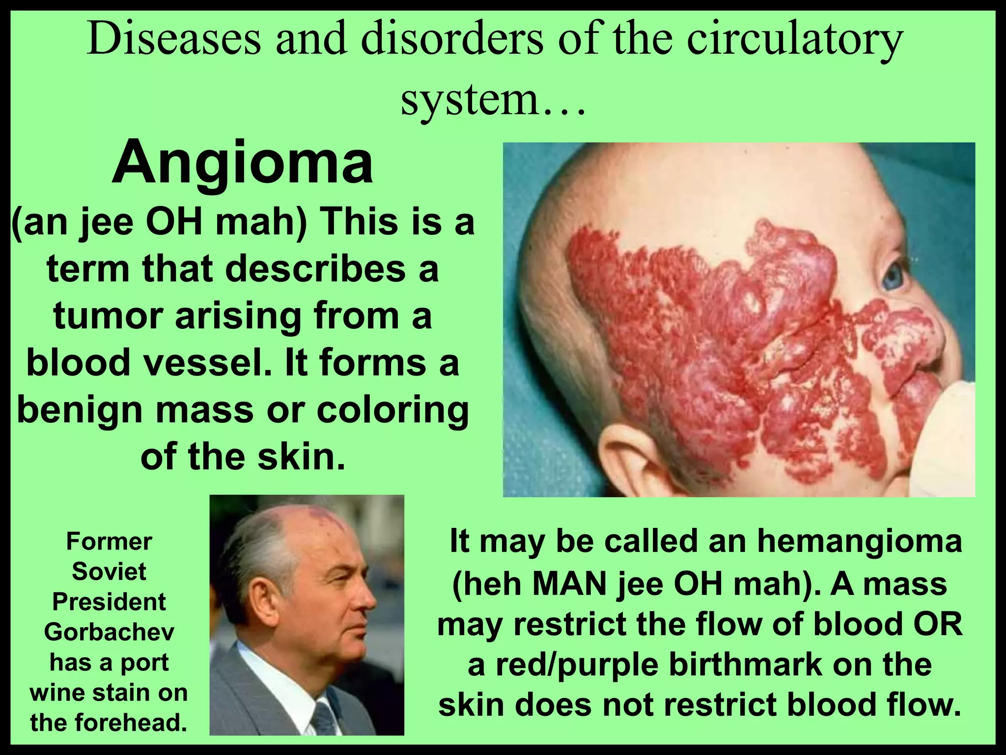 medical terms.ppt