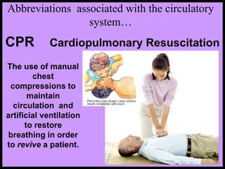 medical terms.ppt