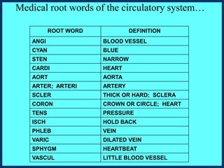 medical terms.ppt