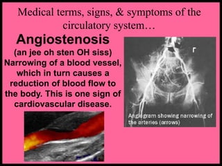 medical terms.ppt