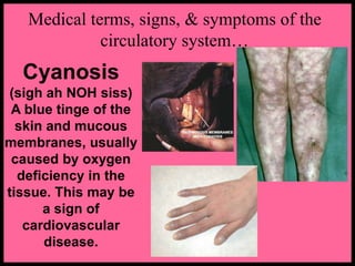 medical terms.ppt