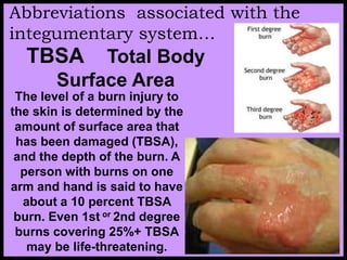 MEDICAL TERMS. ENGLISH III... ENGLISH CLASS... | PPTX