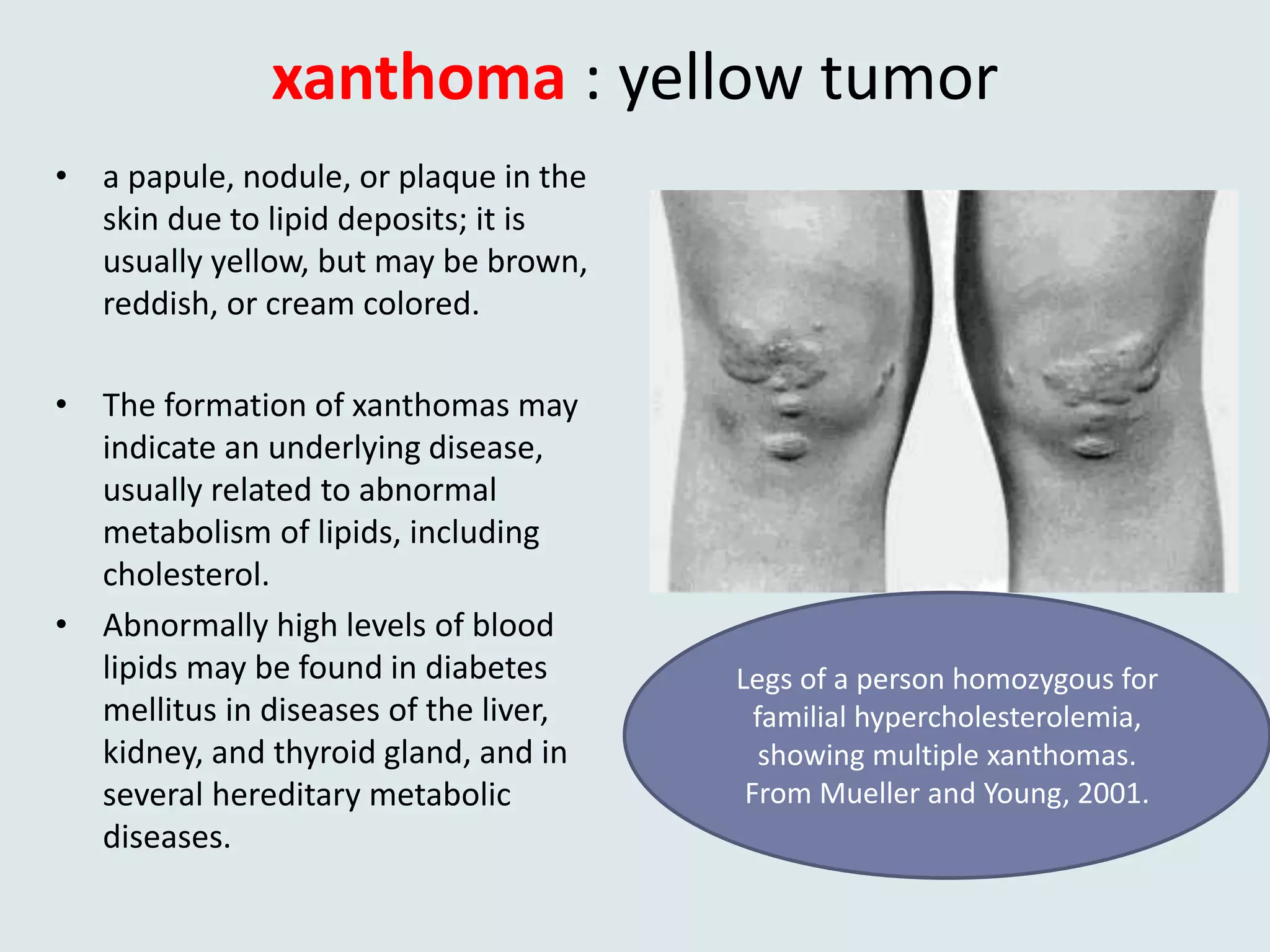 Medical terms: colors | PPTX