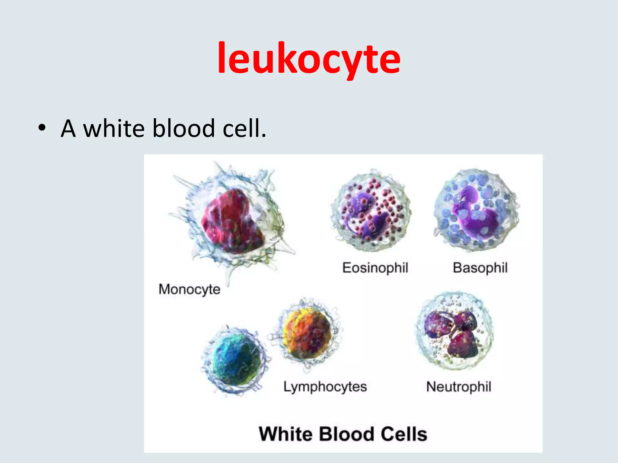 Medical terms: colors | PPTX