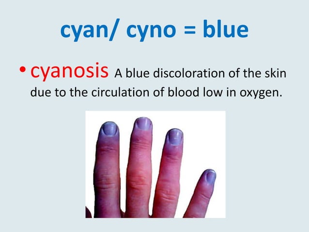 Medical terms: colors | PPTX