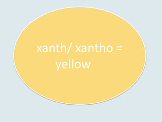 Medical terms: colors | PPTX