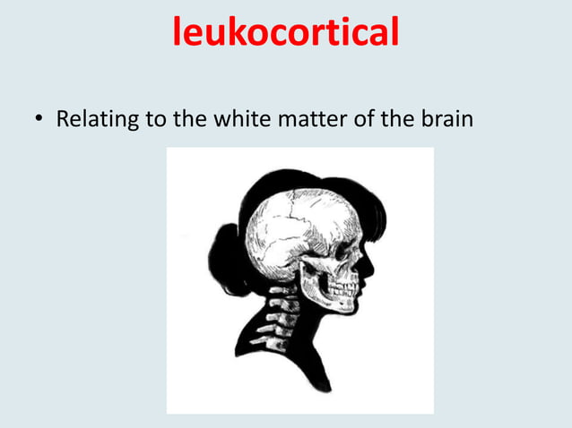 Medical terms: colors | PPTX