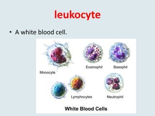 Medical terms: colors | PPTX