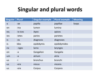Medical terms update | PPTX