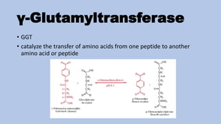 Medical use of enzymes | PPTX