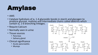 Medical use of enzymes | PPTX