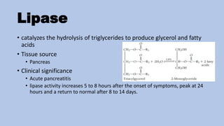 Medical use of enzymes | PPTX