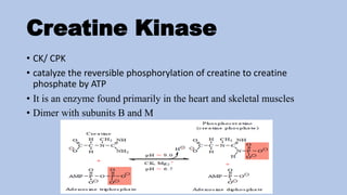 Medical use of enzymes | PPTX