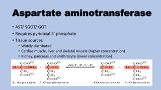 Medical use of enzymes | PPTX