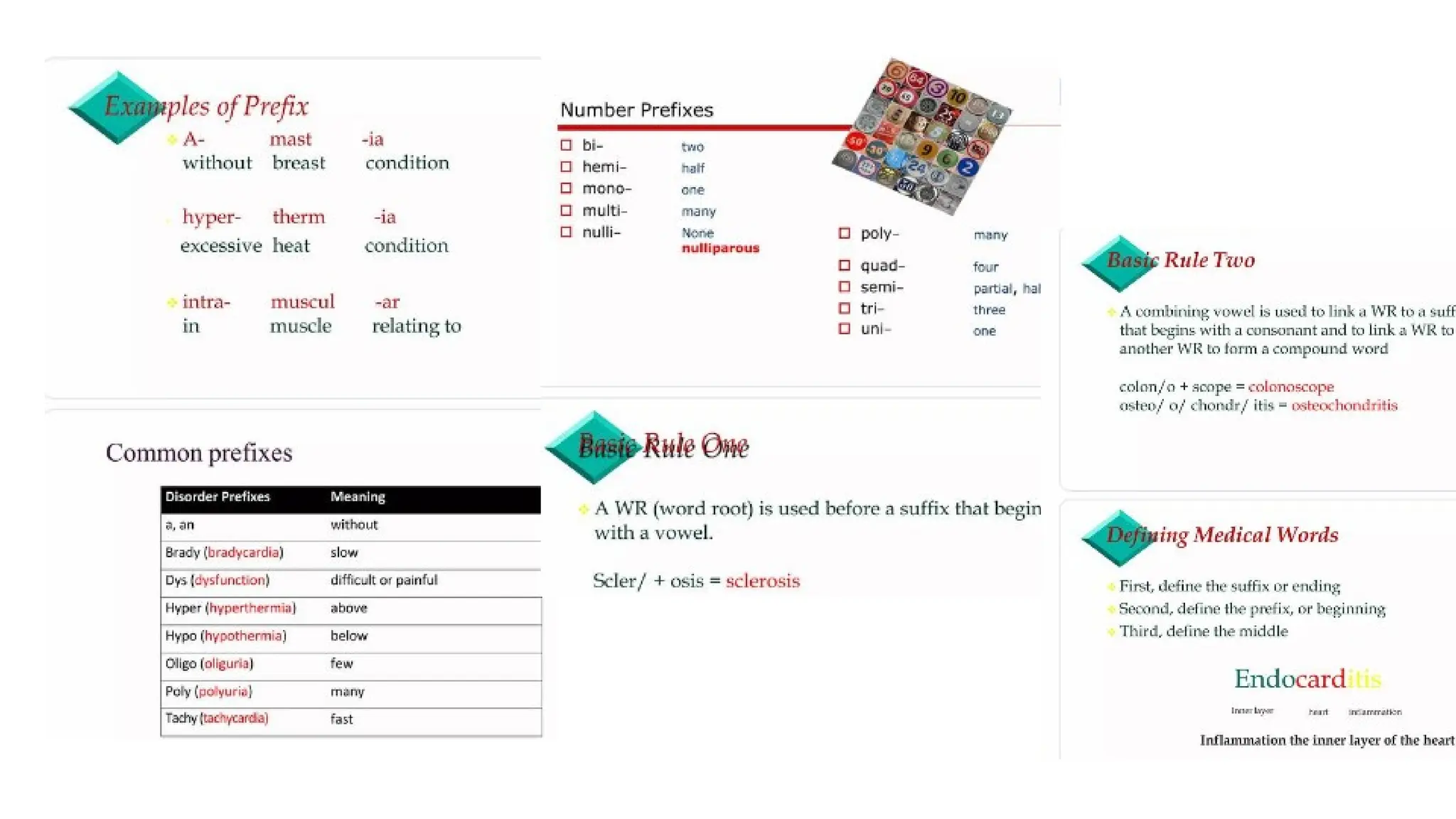 Medical verbs and word formation in medical vocabulary.pptx