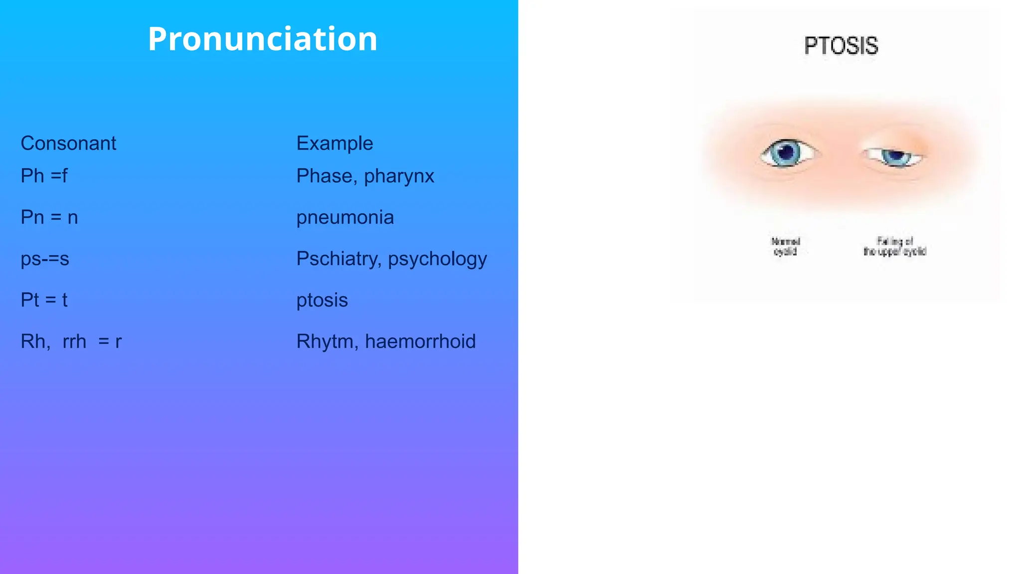 Medical verbs and word formation in medical vocabulary.pptx