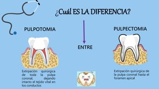 medicamento para pulpec y pulpo (Tayli).pptx