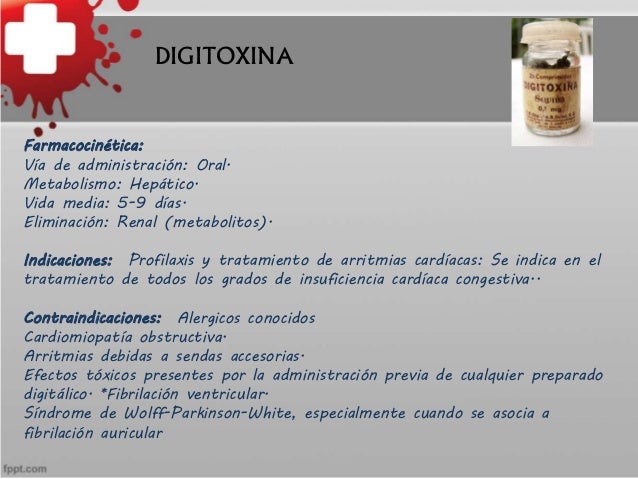 Medicamentos digitalicos