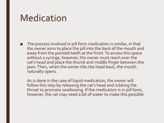 Helping Cats to Take Medication | PPTX