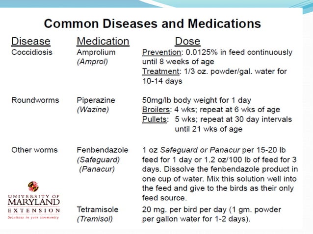 General principles of poultry medication | PPTX