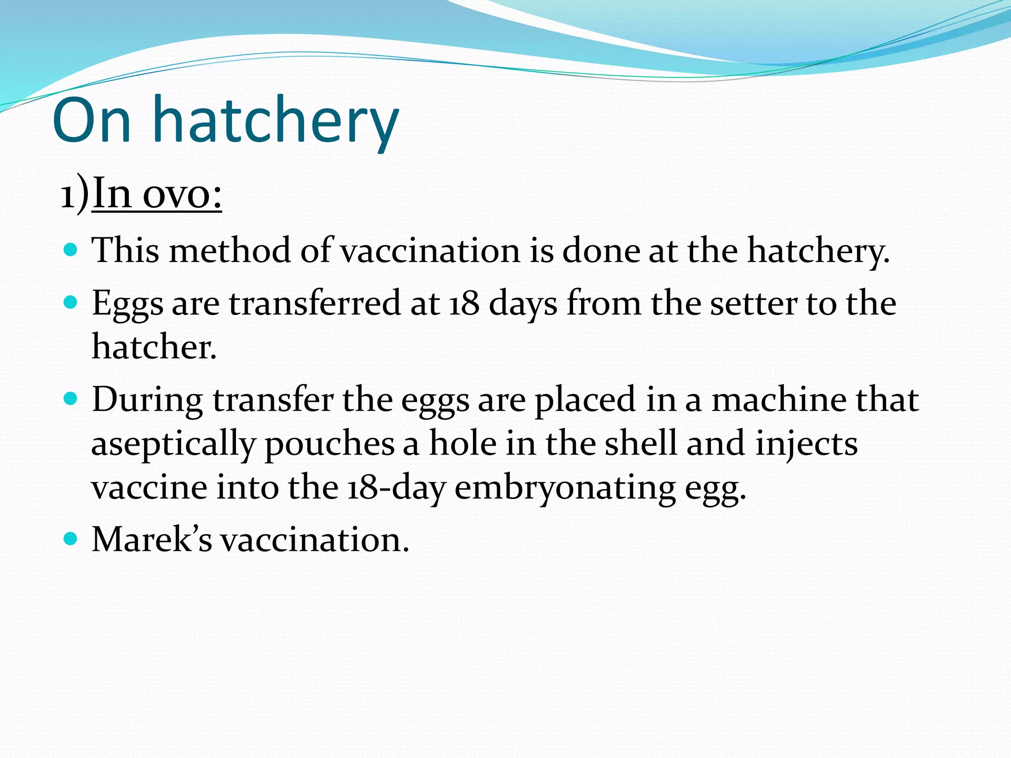 Medication and health care poultry | PPTX