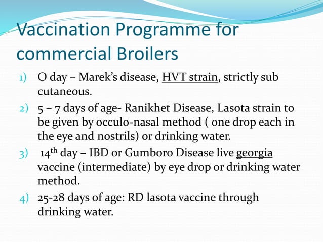 Medication and health care poultry | PPTX