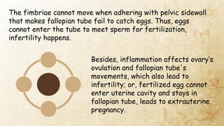 Medication for Tubal Diseases - Tubal Blockage and Hydrosalpinx | PDF