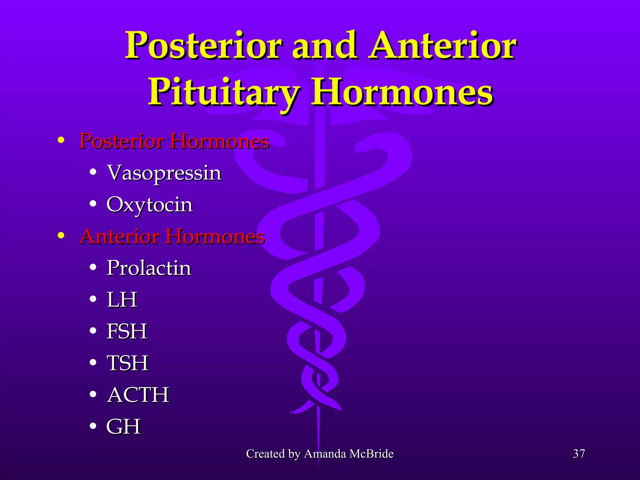Medications That Affect The Endocrine System | PPT