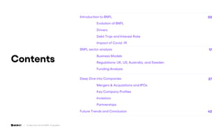 Medici_BNPL_2022_summary.pdf