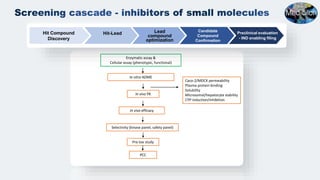 Medicilon High Throughput Screening | PPTX