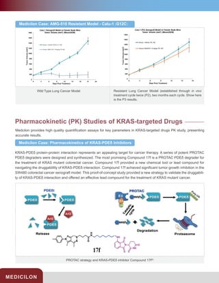Medicilon KRAS-targeted Drugs R&D Service.pdf