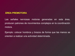 Fisiologia Funciones Motoras | PPT