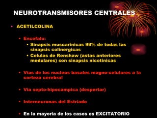 Medicina Fisiologia Sistema Nervioso Central | PPT