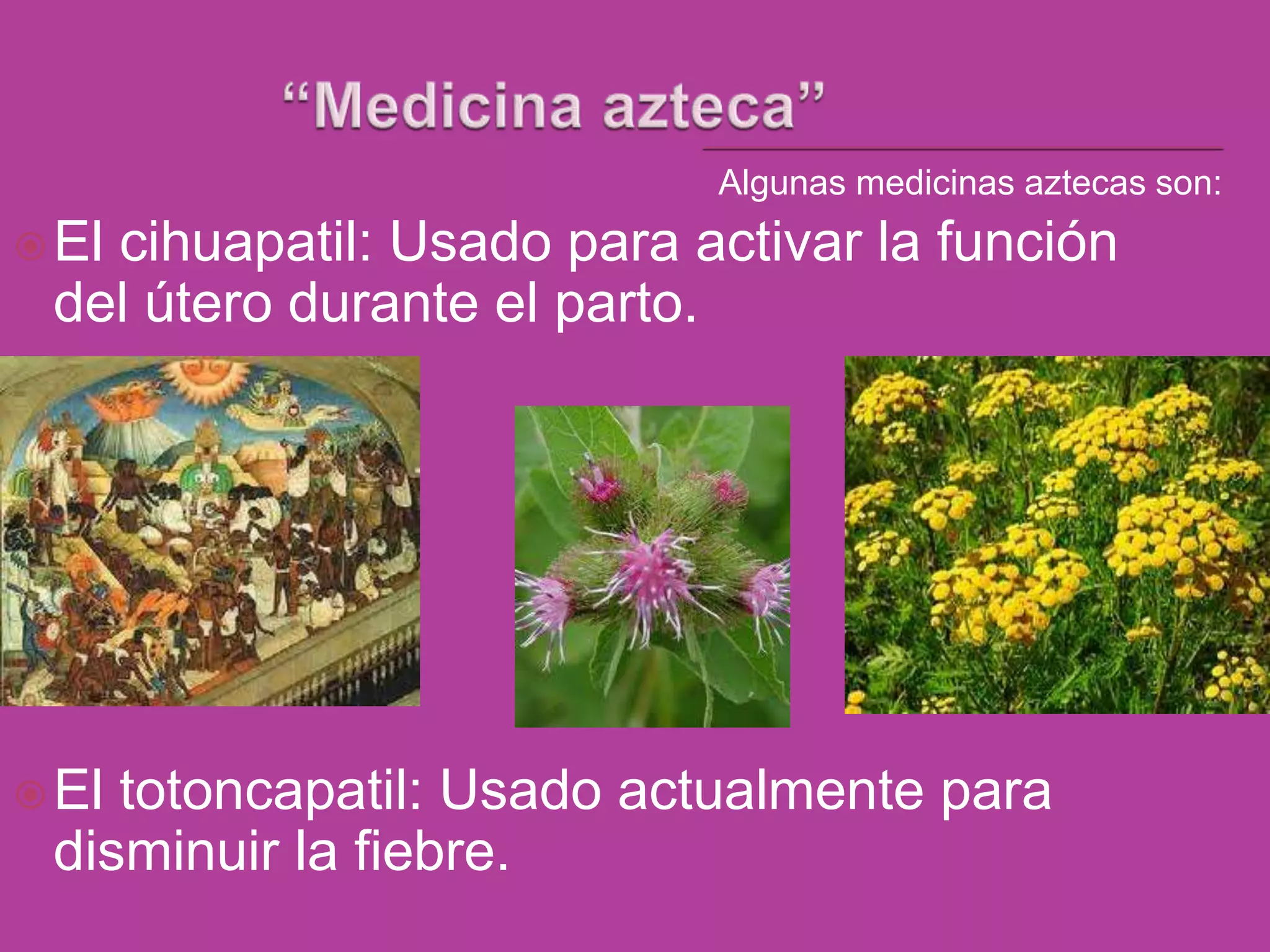 Medicina azteca | PPTX | Medical Health