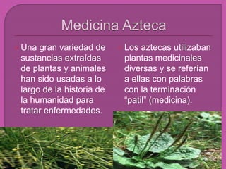 Medicina azteca | PPTX