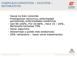 Medicina felina digestivo | PDF