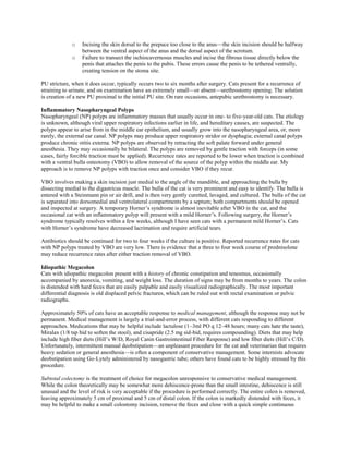 Medicina felina feline-soft-tissue-surgery-part-2-pdf | PDF