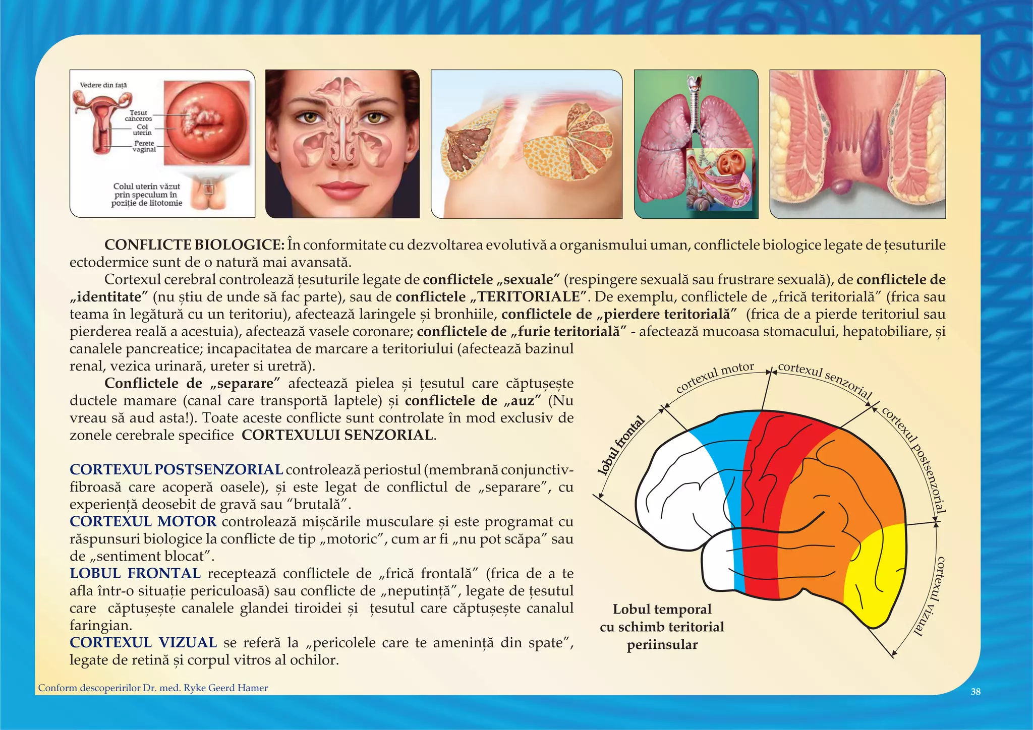 Ryke Hamer - Noua medicina germanica | PDF