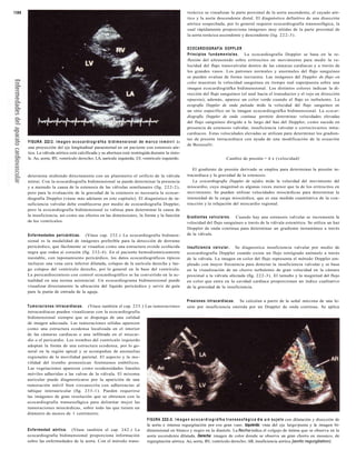 Medicina interna de harrison vol. 2 | PDF