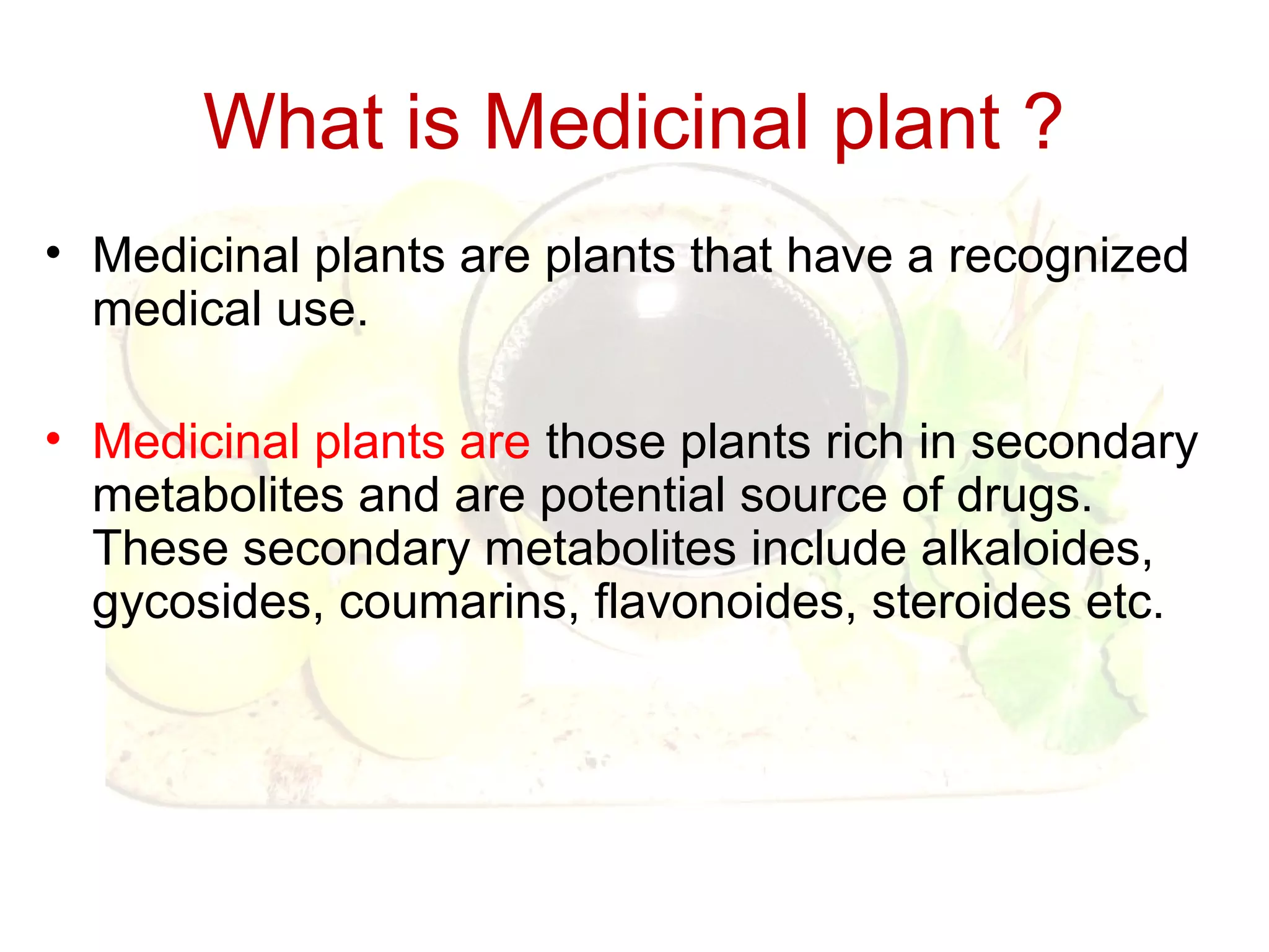Medicinal and aromatical plants,cultivation of medicinal and aromatic ...