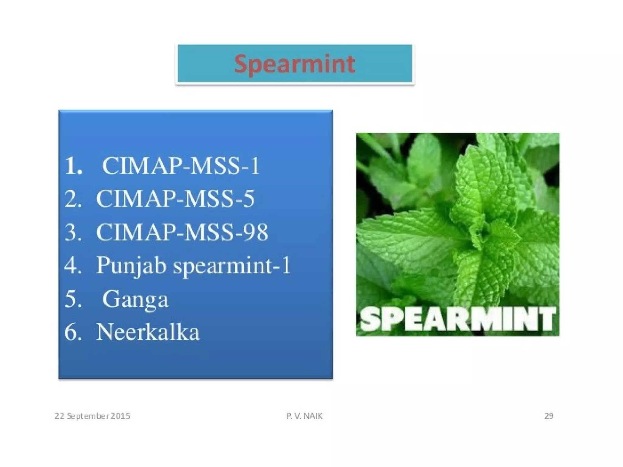 Medicinal and aromatical plants,cultivation of medicinal and aromatic ...