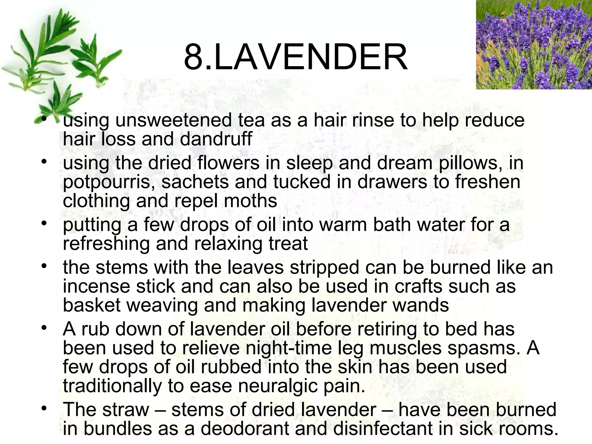 Medicinal and aromatical plants,cultivation of medicinal and aromatic ...