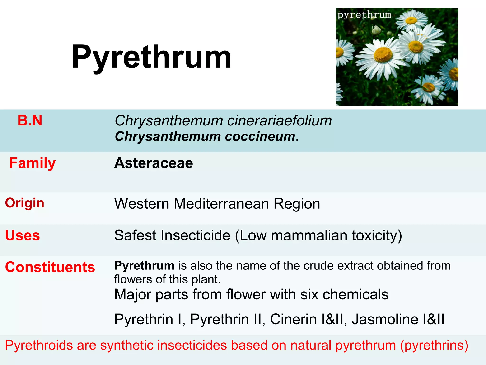 Medicinal and aromatical plants,cultivation of medicinal and aromatic ...