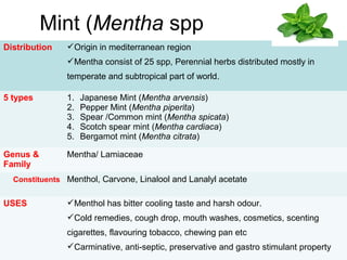Medicinal and aromatical plants,cultivation of medicinal and aromatic ...