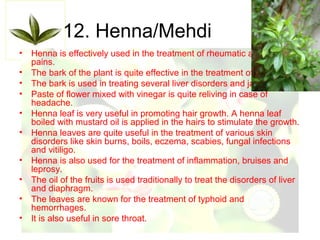 Medicinal and aromatical plants,cultivation of medicinal and aromatic ...
