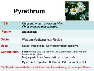 Medicinal and aromatical plants,cultivation of medicinal and aromatic ...
