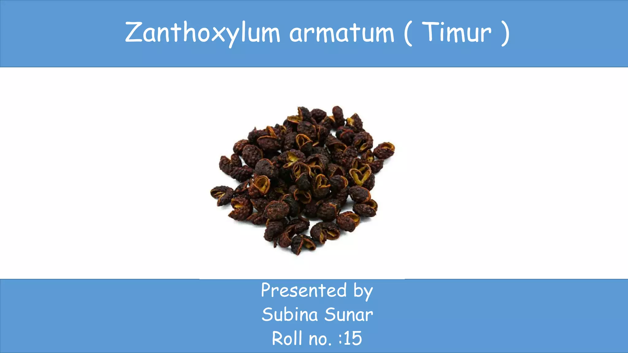 Timur ( Zanthoxylum armatum) Medicinal And Aromatic Plant Of Nepal ...